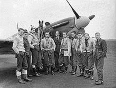 Spitfire Association - Information on 54 SQN RAF