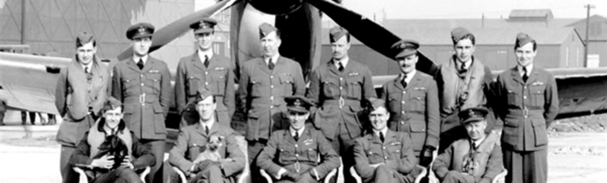 Spitfire Association - Information on 602 SQN RAF